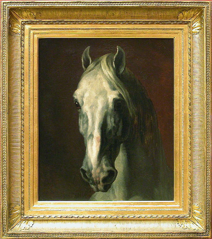 Tête de cheval blanc - Louvre site des collections