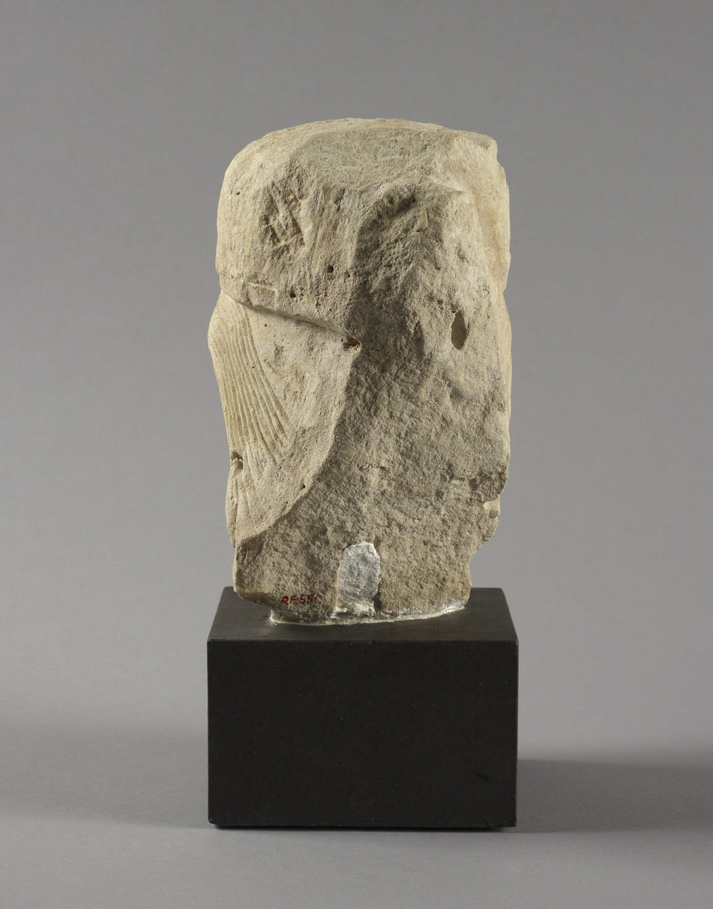 Tête d'un vieillard de l'Apocalypse - Louvre site des collections