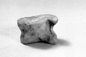 osselet - Louvre Collections