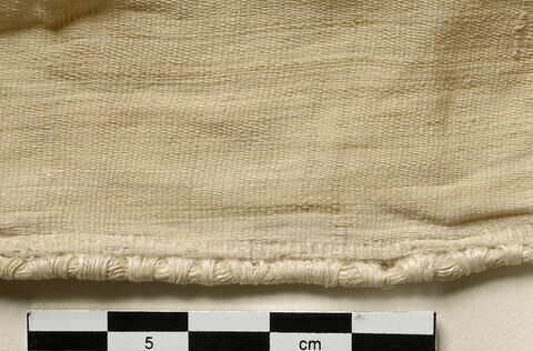 tissu ; linceul - Louvre site des collections